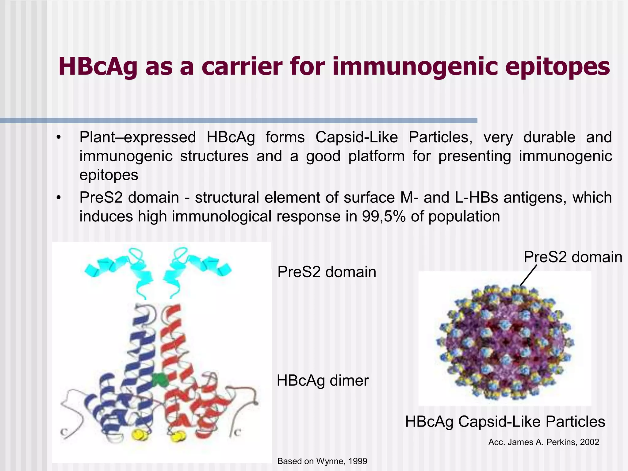 Plant-produced subviral HBV particles as carriers for antigen protein ...