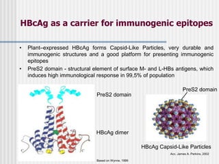 Plant-produced subviral HBV particles as carriers for antigen protein ...