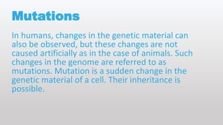 Genetic engineering | PPTX