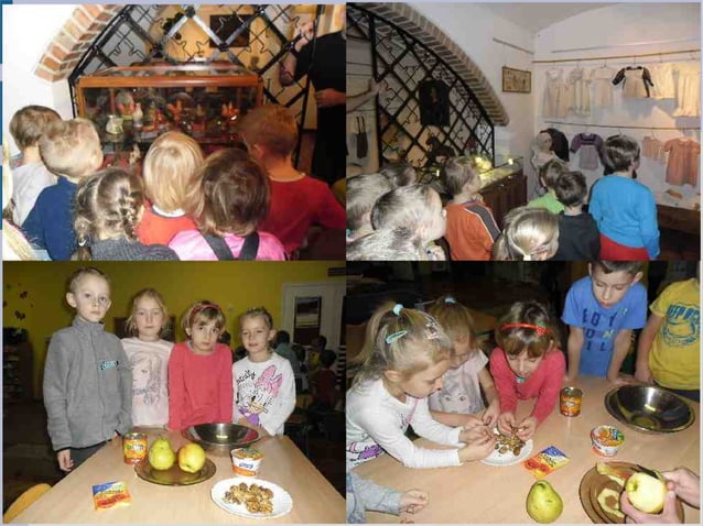 Prezentacja motylki | PPT