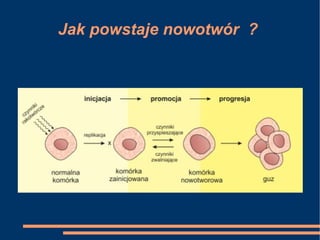Prezentacja na biologie | ODP