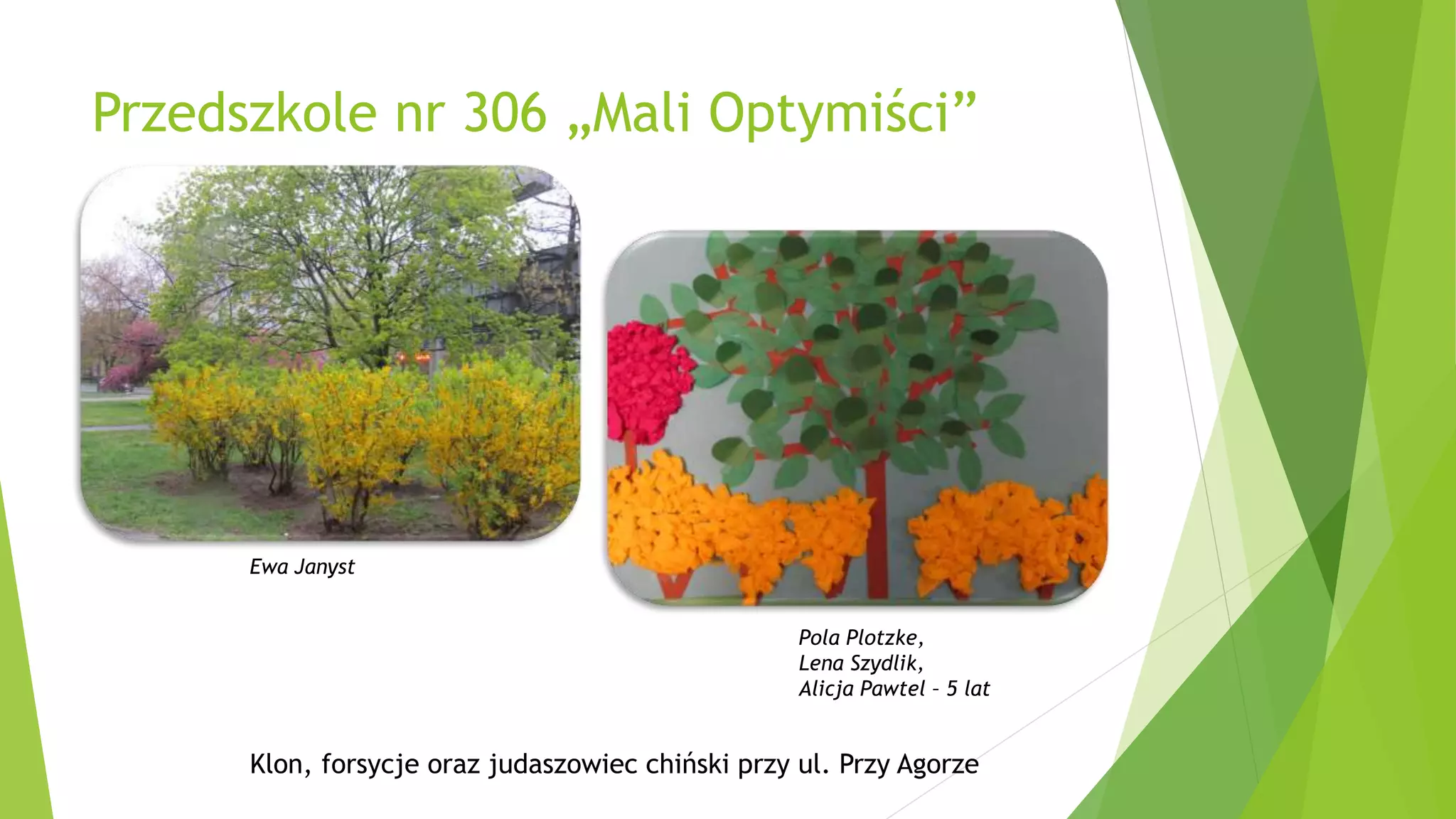 Prezentacja na konkurs.ok