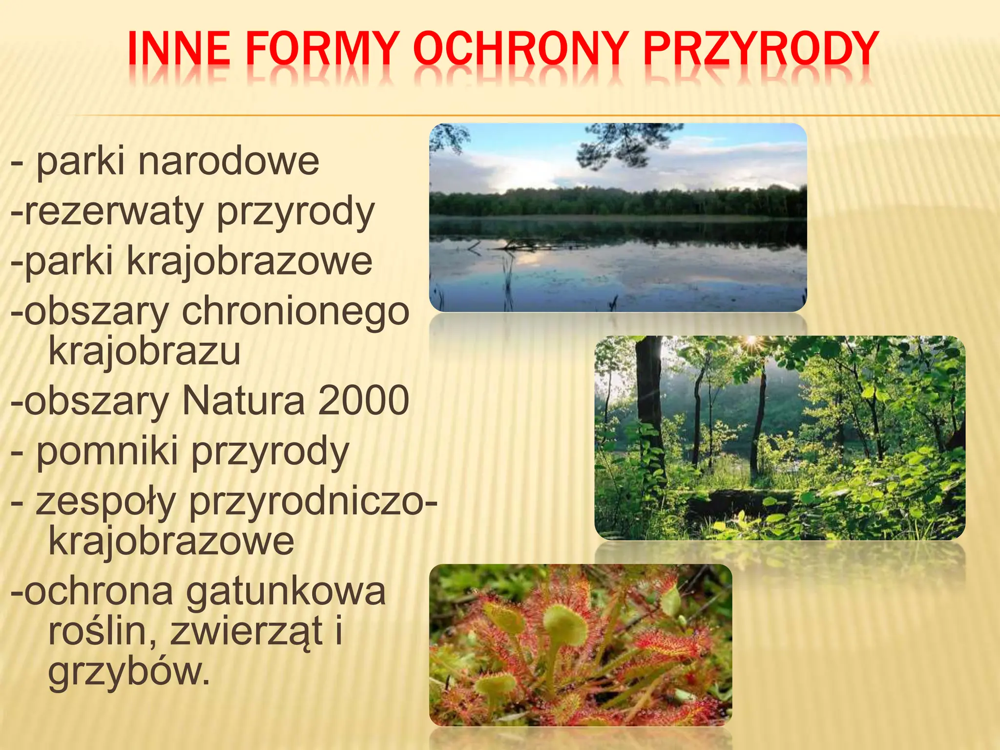 Prezentacja ochrona srodowiska.pptx