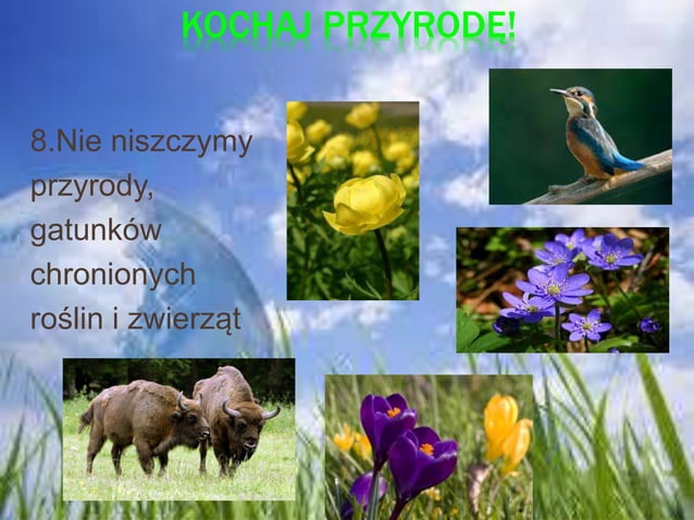 Prezentacja ochrona srodowiska.pptx