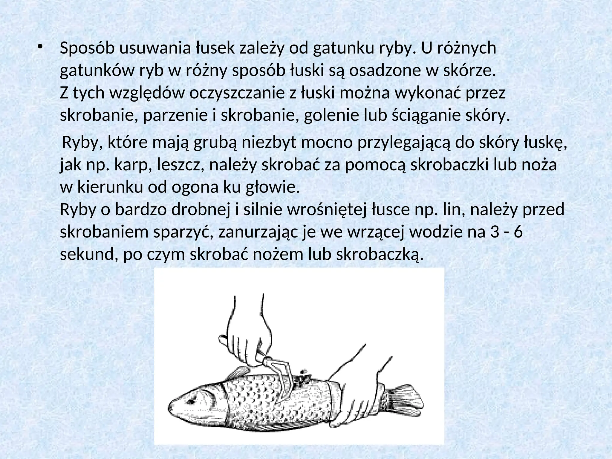 Prezentacja RYBY II.ppt opis szczegółowy | PPT