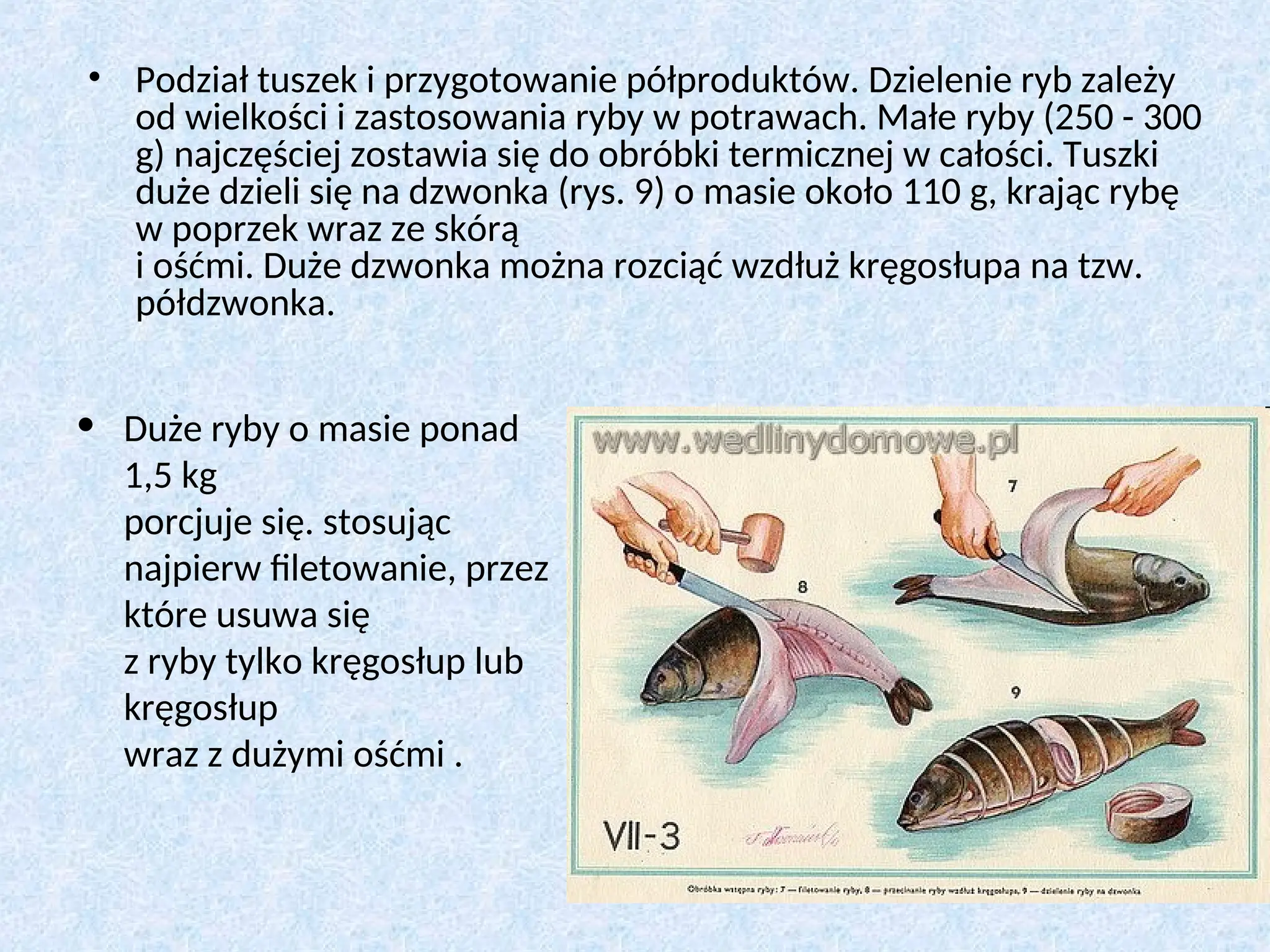 Prezentacja RYBY II.ppt opis szczegółowy | PPT