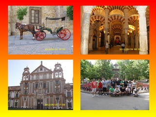 Prezentacja ze stażu | PPT