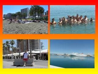 Prezentacja ze stażu | PPT