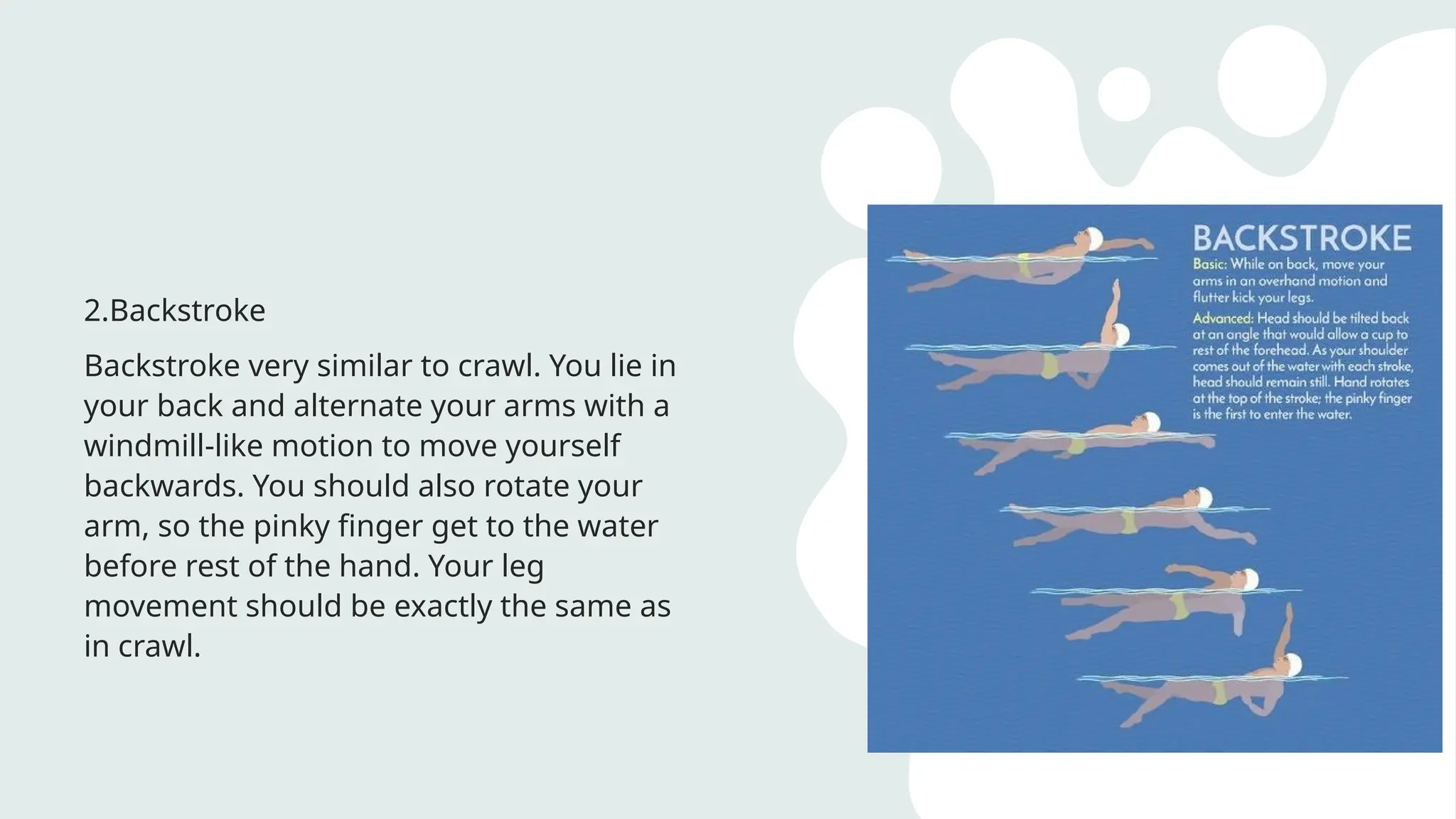 SWIMMIMNG- HISTORY, EXERCISES AND BASIC KNOWLEDGE | PPTX