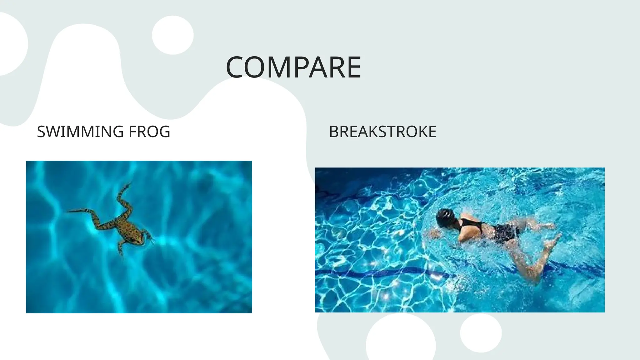 SWIMMIMNG- HISTORY, EXERCISES AND BASIC KNOWLEDGE | PPTX