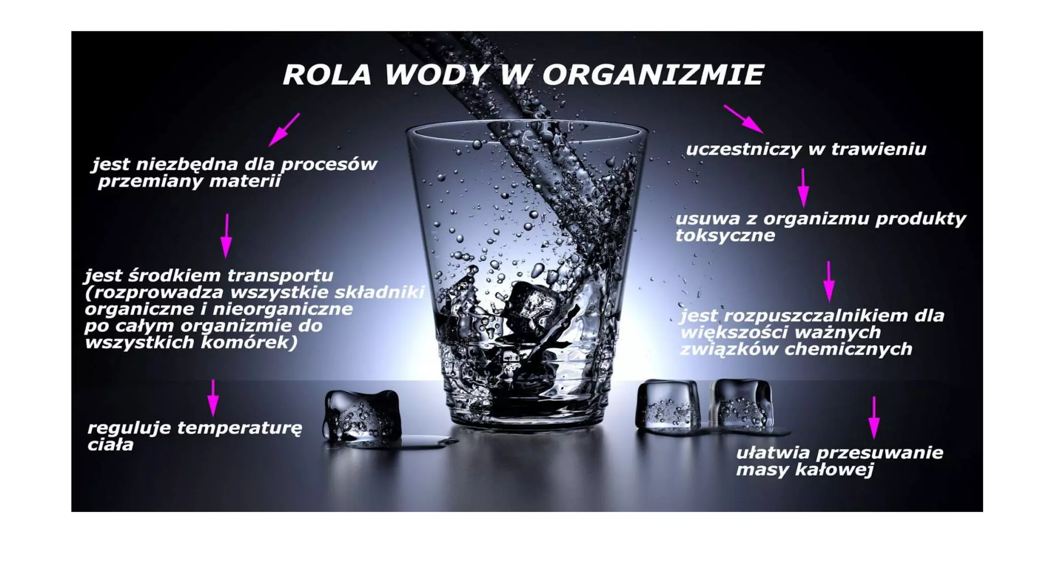 Znaczenie wody w organizmie czlowieka | PPTX