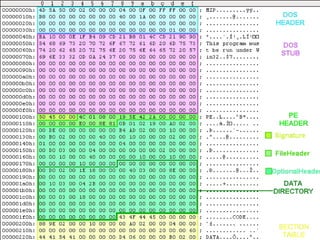 Formatul Portable Executable | PPT
