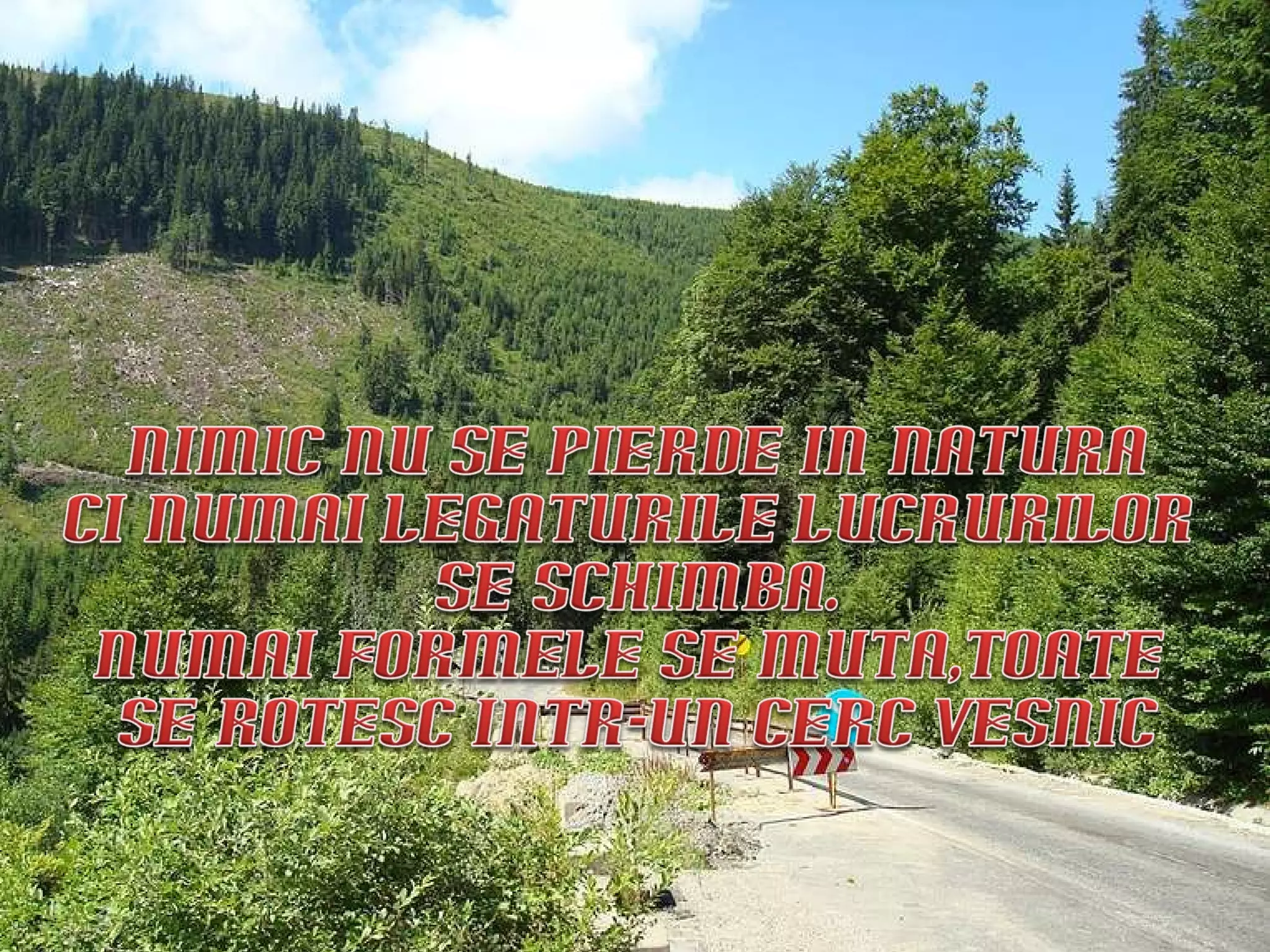 Prezentare: MEDIUL INCONJURATOR | PPT