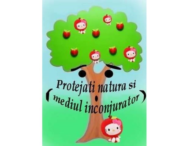 Prezentare: MEDIUL INCONJURATOR | PPT