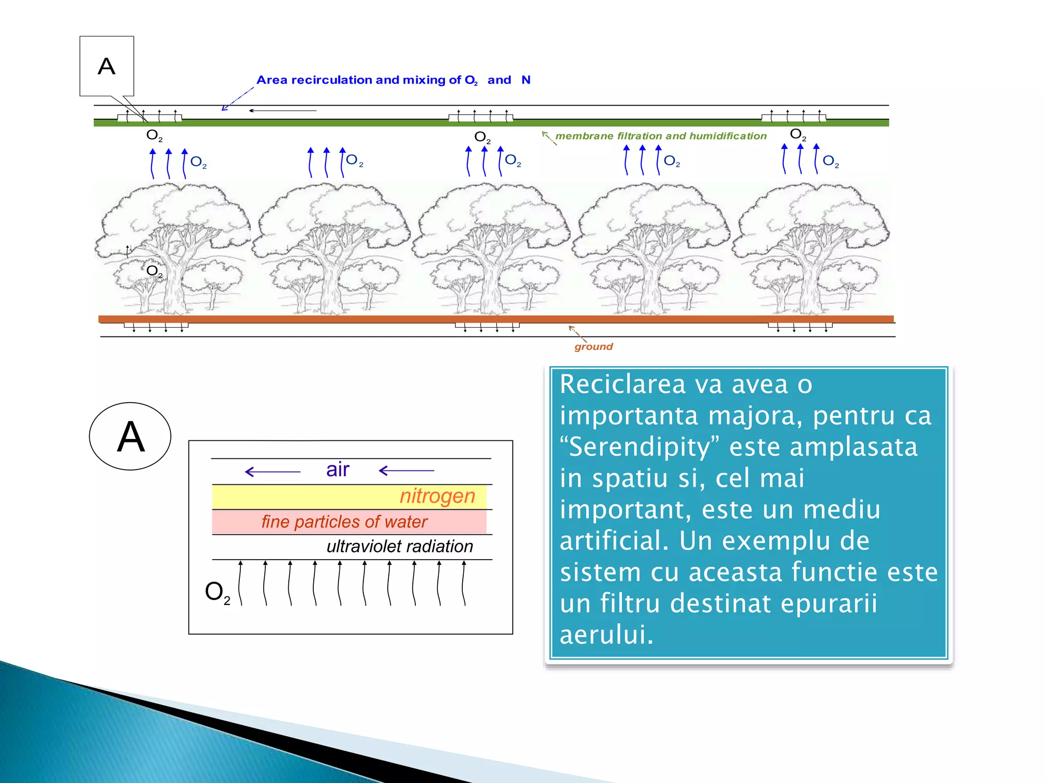 Prezentare proiect NASA Serendipity | PPTX