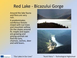 Flora and Fauna Of The Lakes | PPT