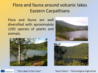 Flora and Fauna Of The Lakes | PPT