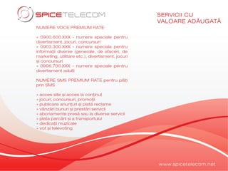 Prezentare generala Spice Telecom | PPT