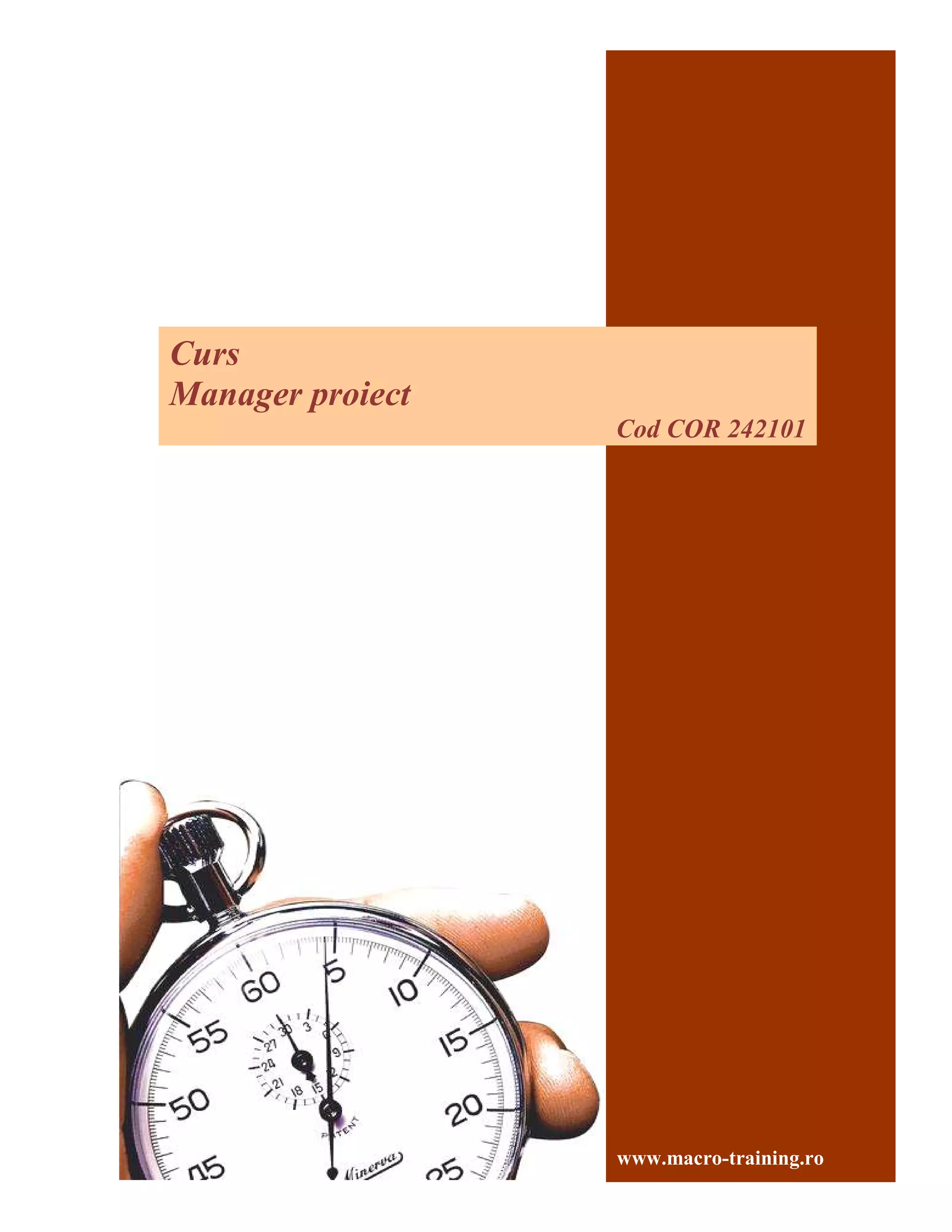 Cursuri Manager de Proiect | PDF