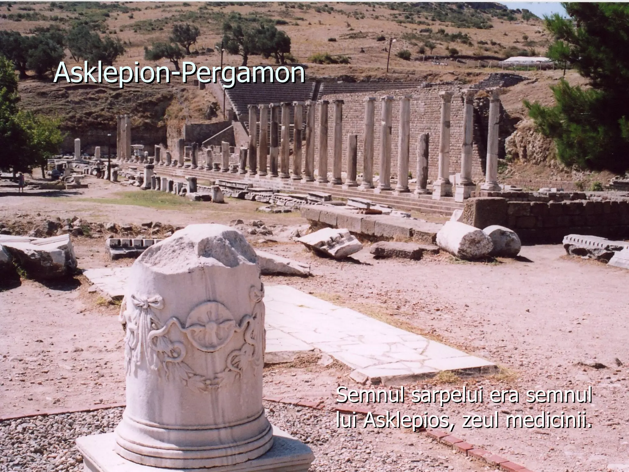 Pergamon, orasul pergamentului | PPT