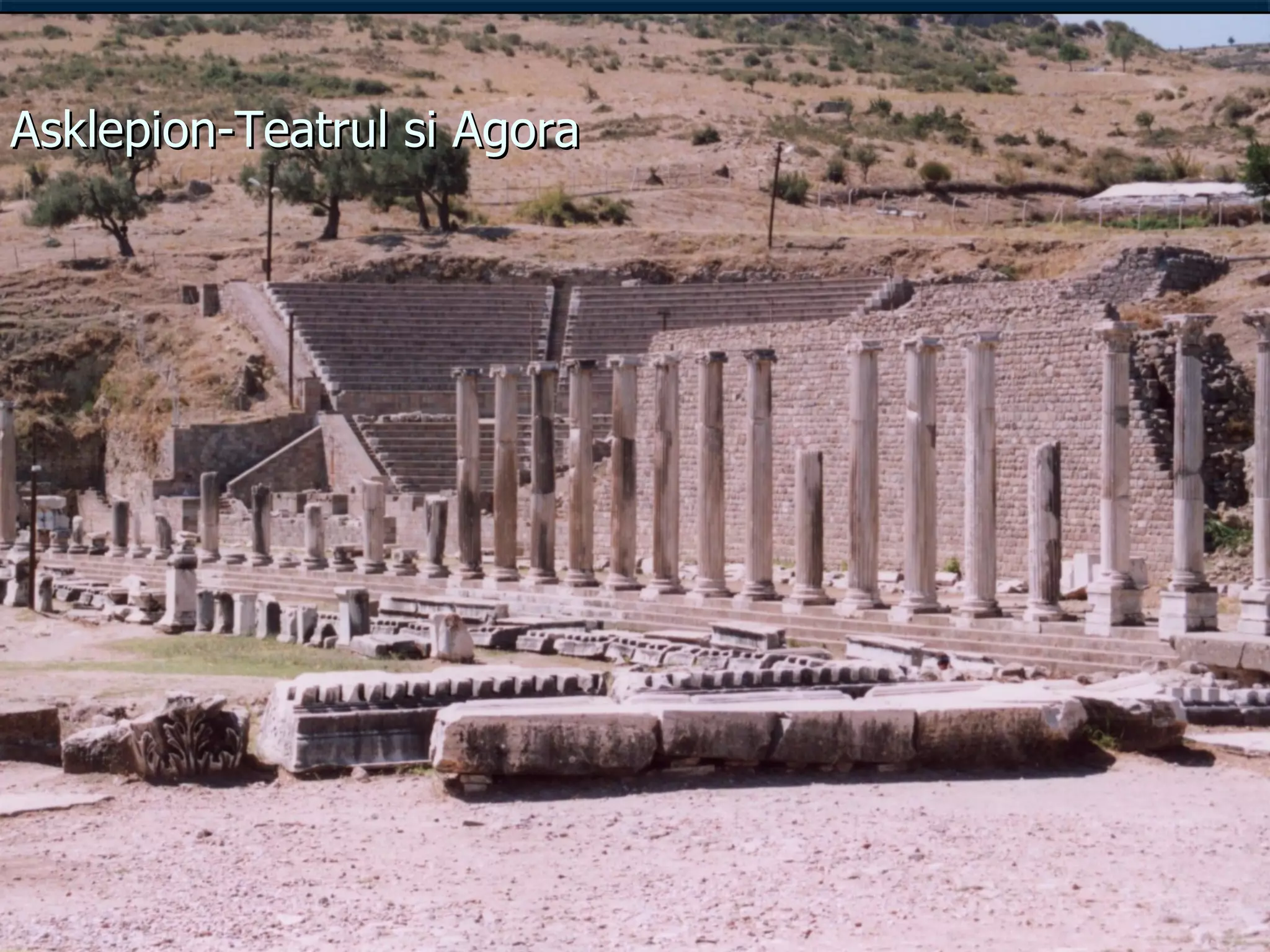 Pergamon, orasul pergamentului | PPT