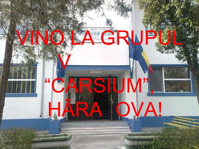 plan scolarizare prezentare | PPT