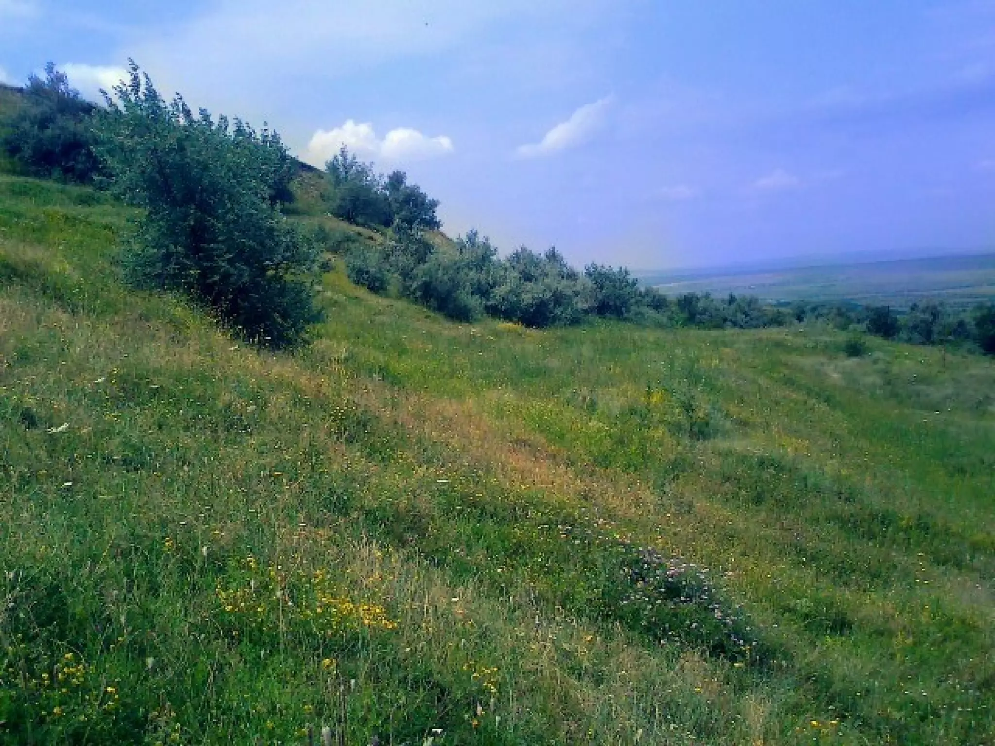 Prezentarea satului Corneşti | PPT