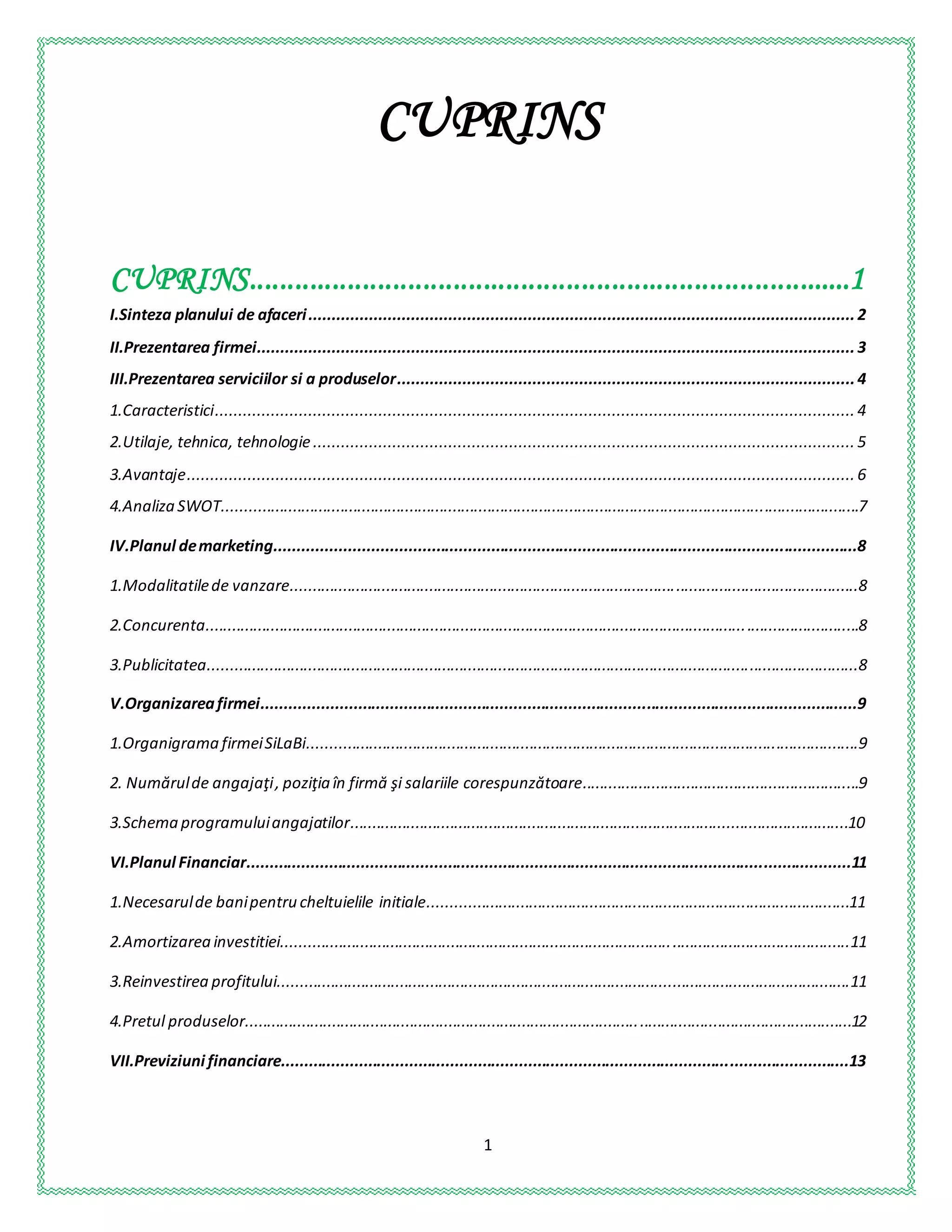 SiLaBi- plan de afaceri | DOCX