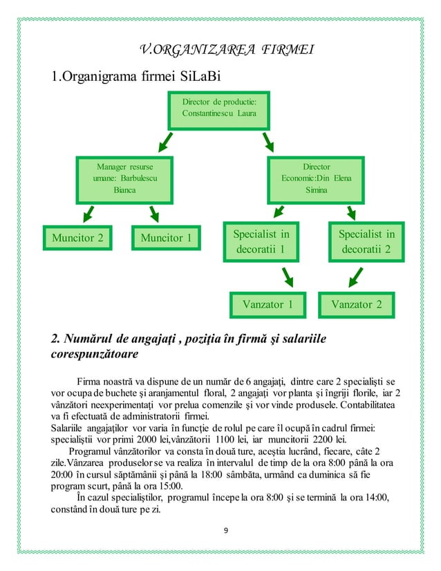 SiLaBi- plan de afaceri | DOCX