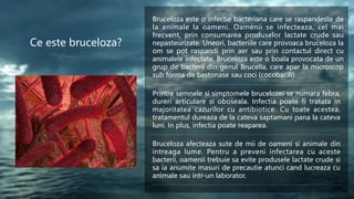 Proiect de specialitate pentru certificarea competențelor profesionale ...