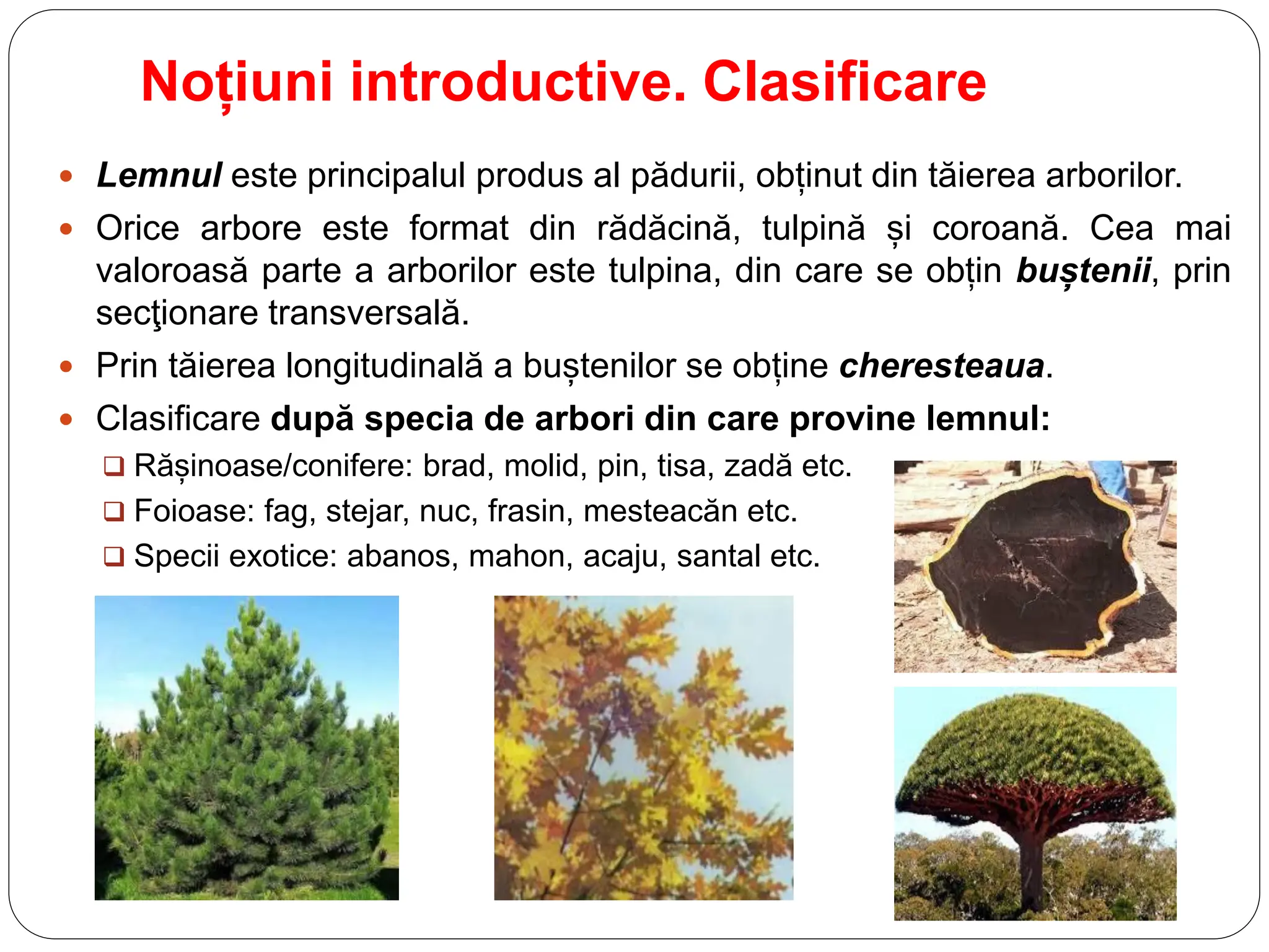 Materii prime si materiale lemnose: clasificare, proprietati si domenii ...