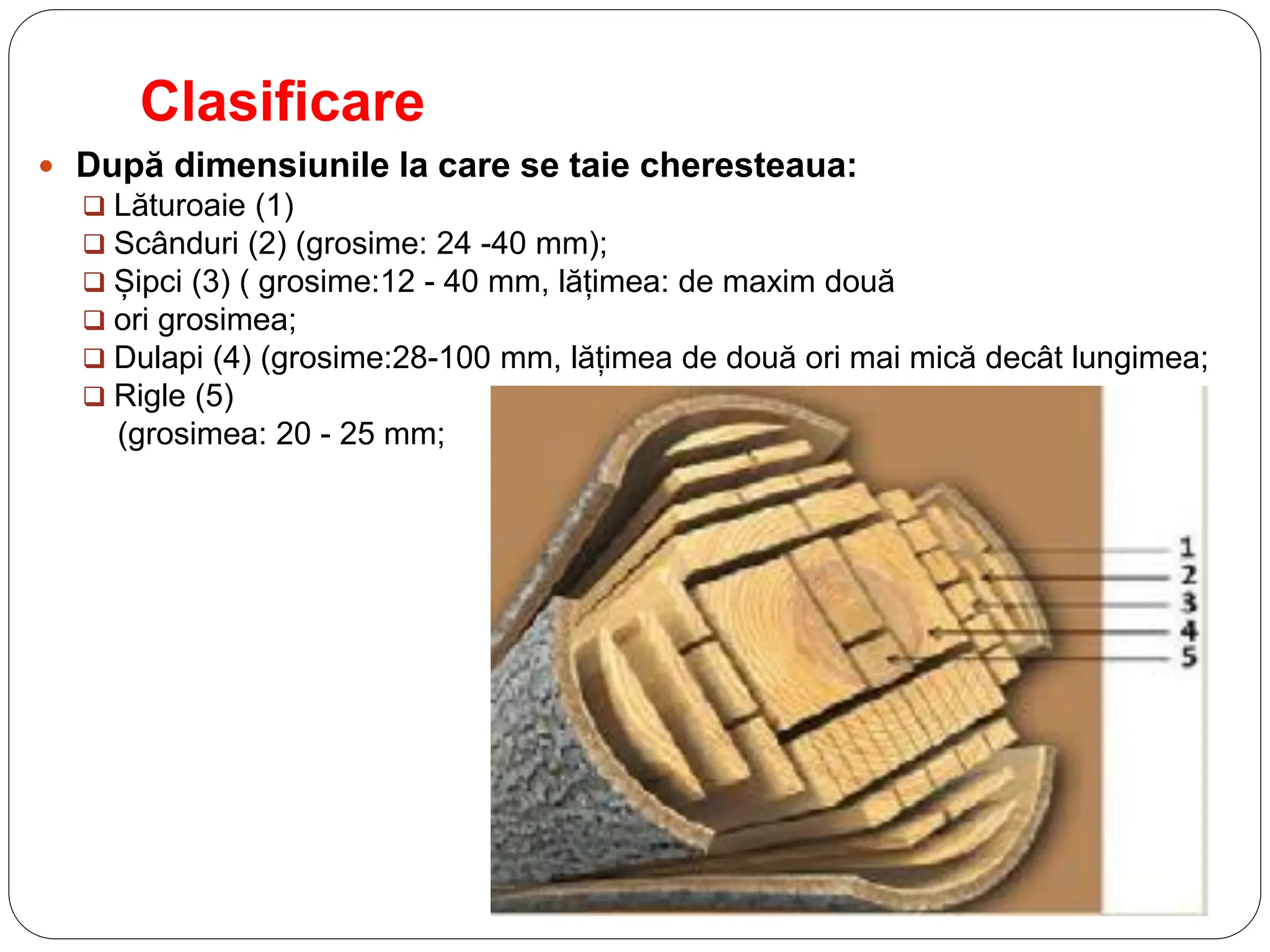 Materii prime si materiale lemnose: clasificare, proprietati si domenii ...