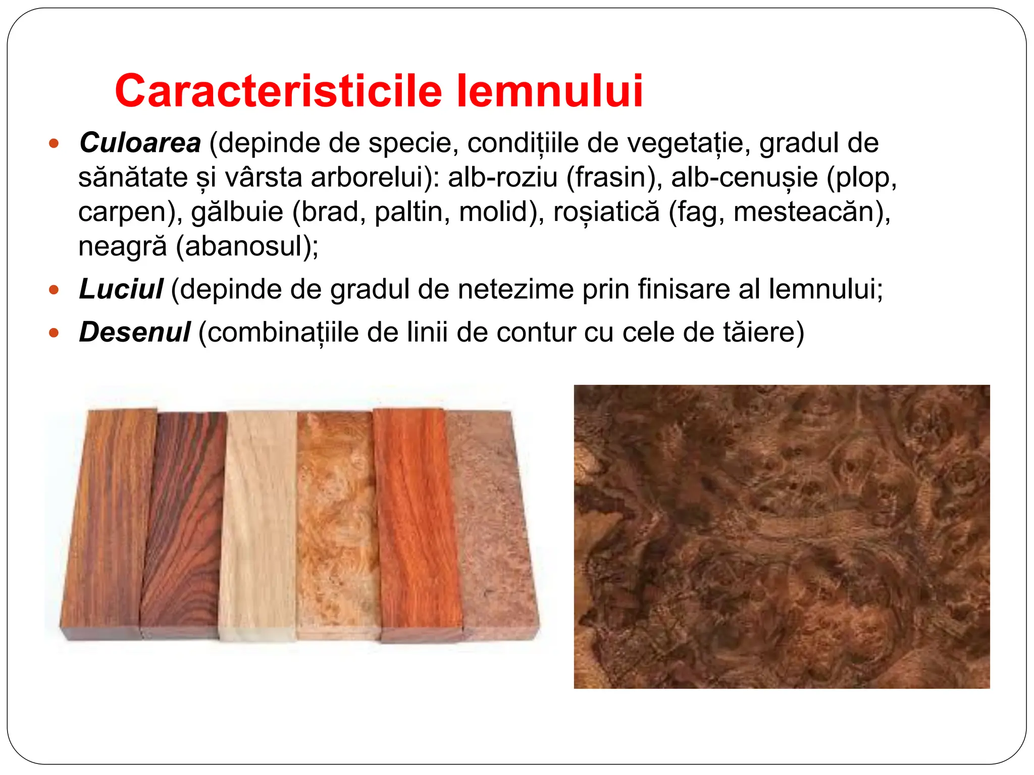 Materii prime si materiale lemnose: clasificare, proprietati si domenii ...