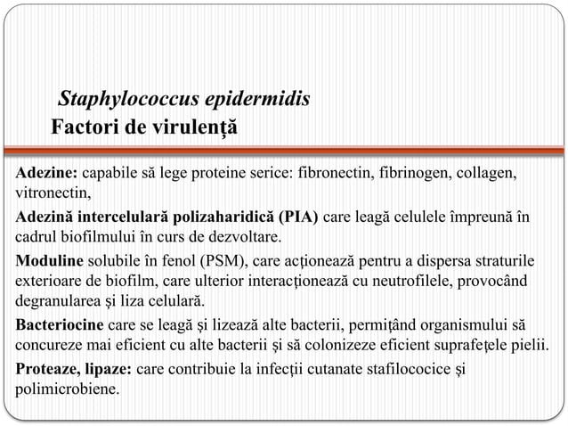 Rezistenta la antibiotice a bacteriilor.pptx