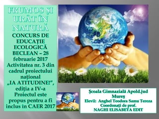 Frumos și urât în natură | PPT