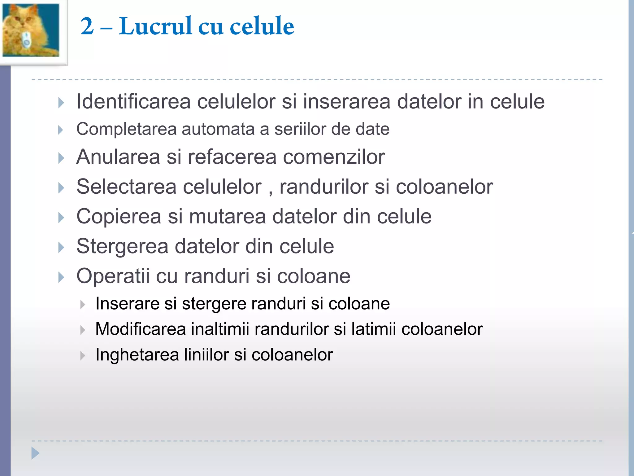 Prezentare Modul Excel | PPSX
