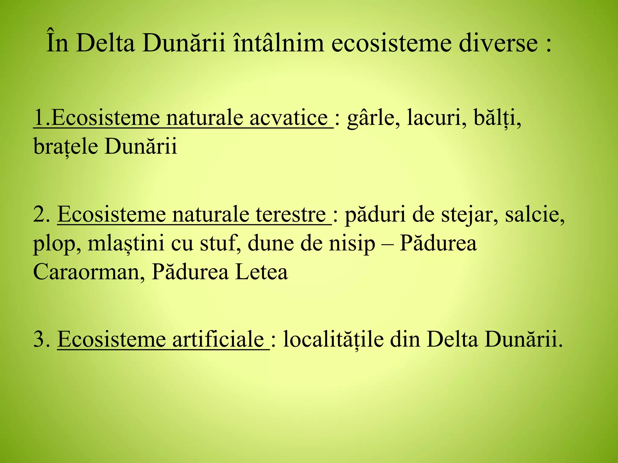 Prezentare Delta Dunarii | PPTX