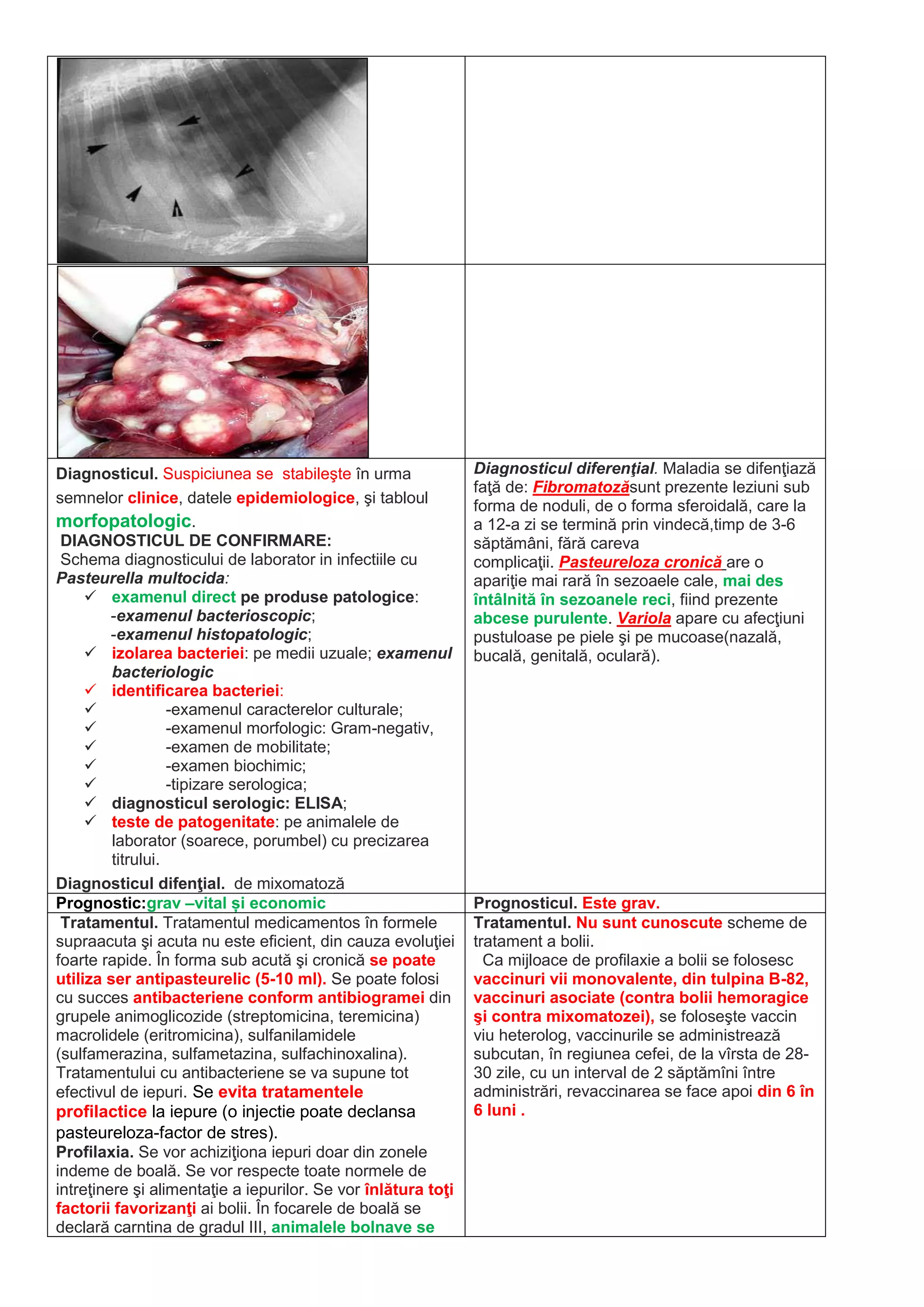 Bolile Infectioase Leporide Diagnostic Diferential Pasteureloza ...