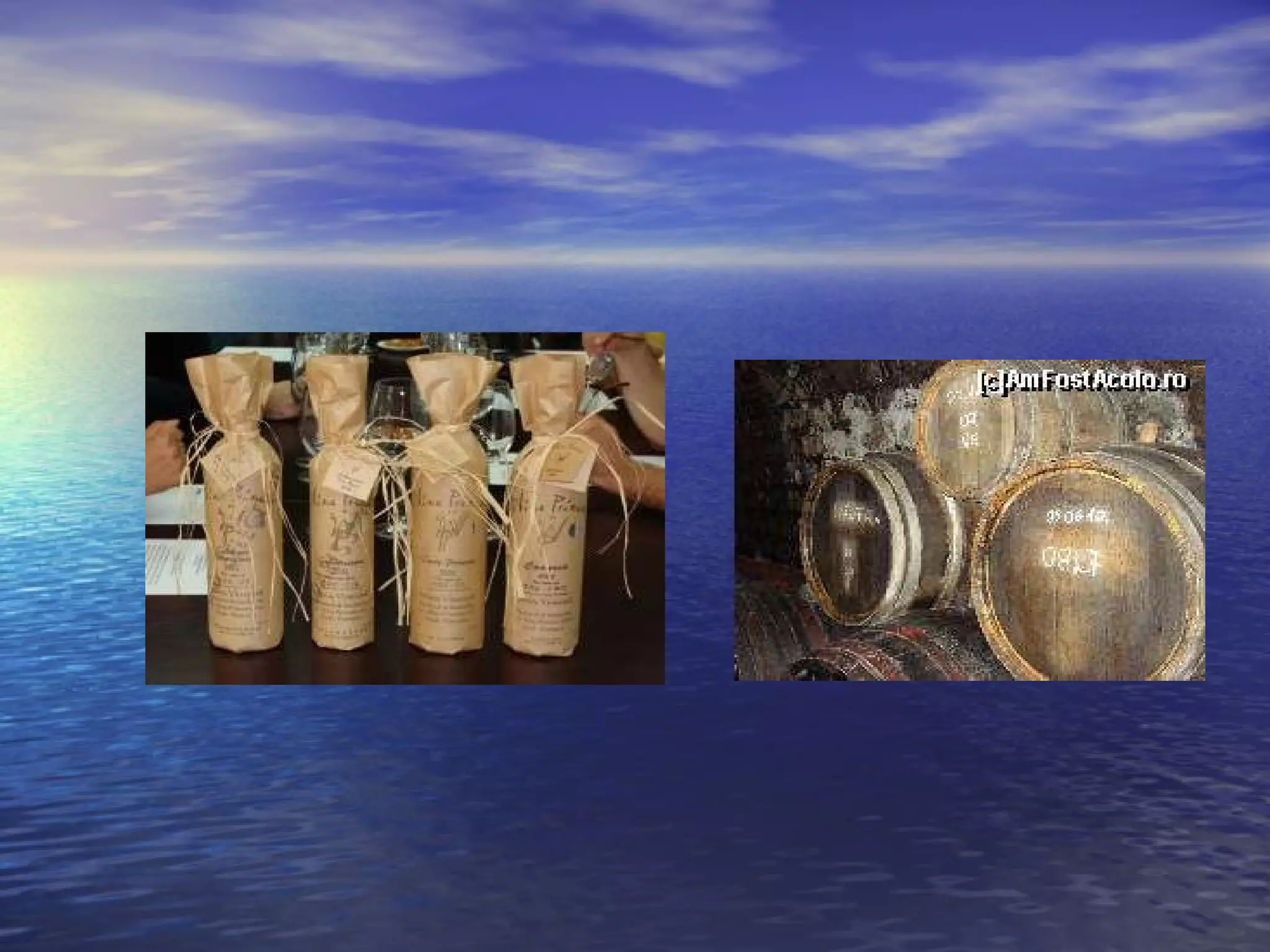 Fermentatia vinurilor_ema cotoi | PPT