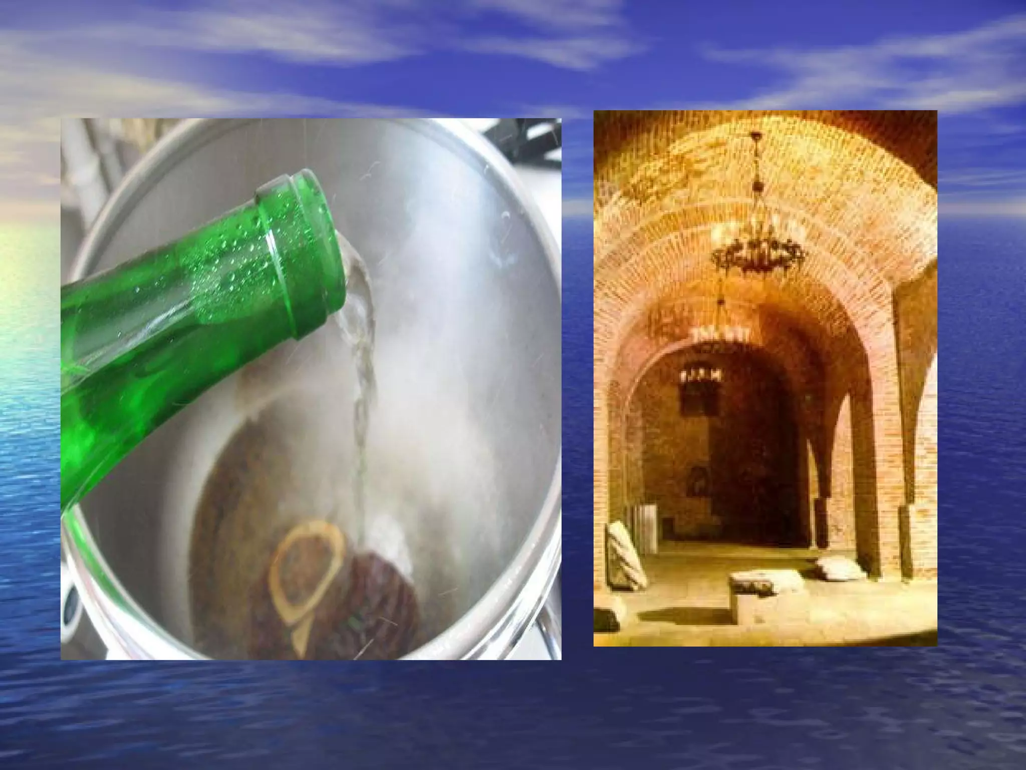 Fermentatia vinurilor_ema cotoi | PPT