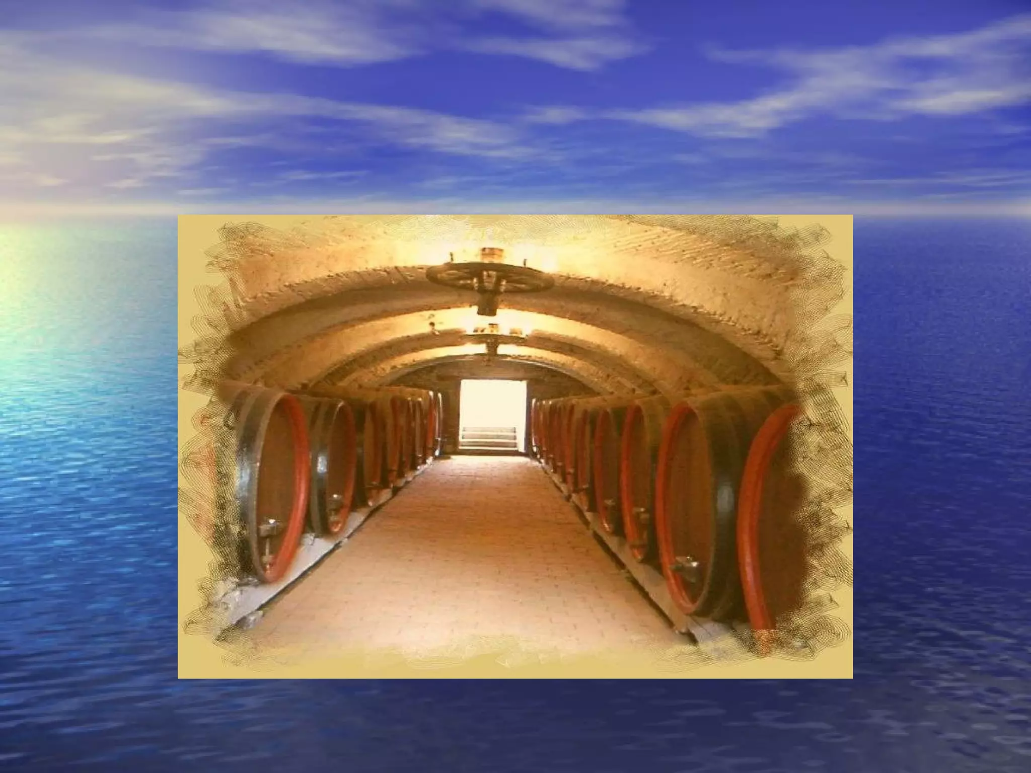 Fermentatia vinurilor_ema cotoi | PPT