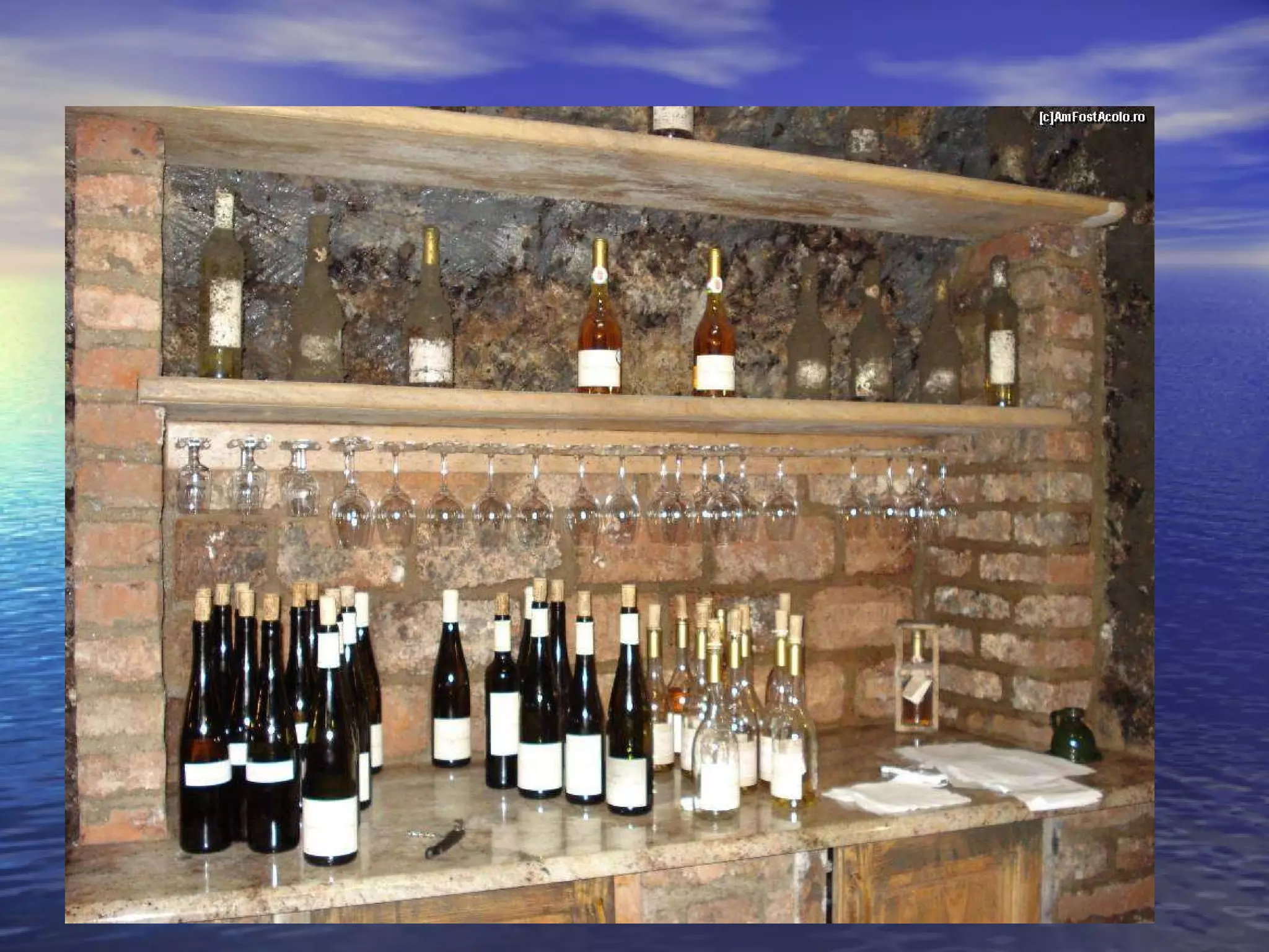 Fermentatia vinurilor_ema cotoi | PPT