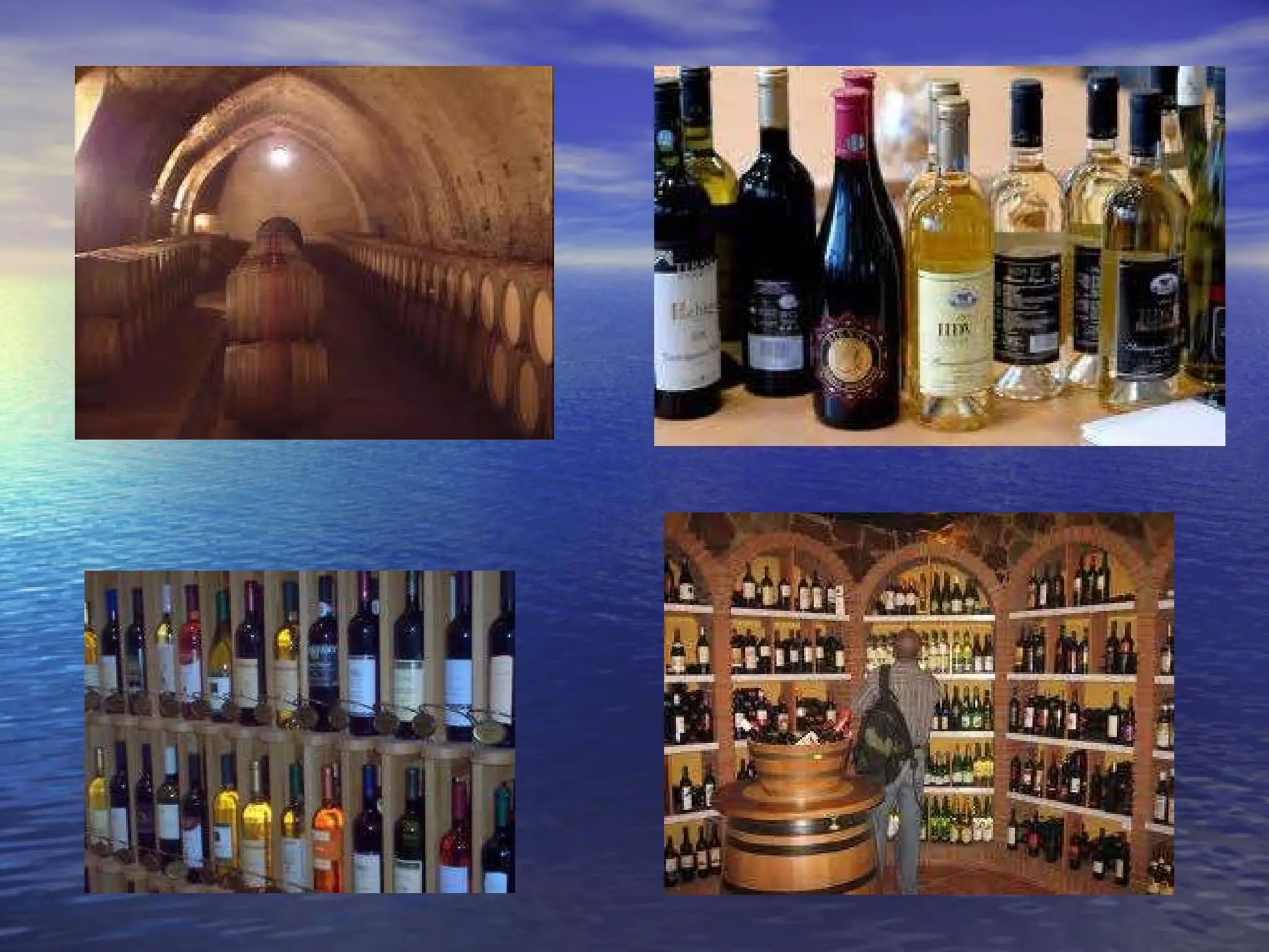 Fermentatia vinurilor_ema cotoi | PPT