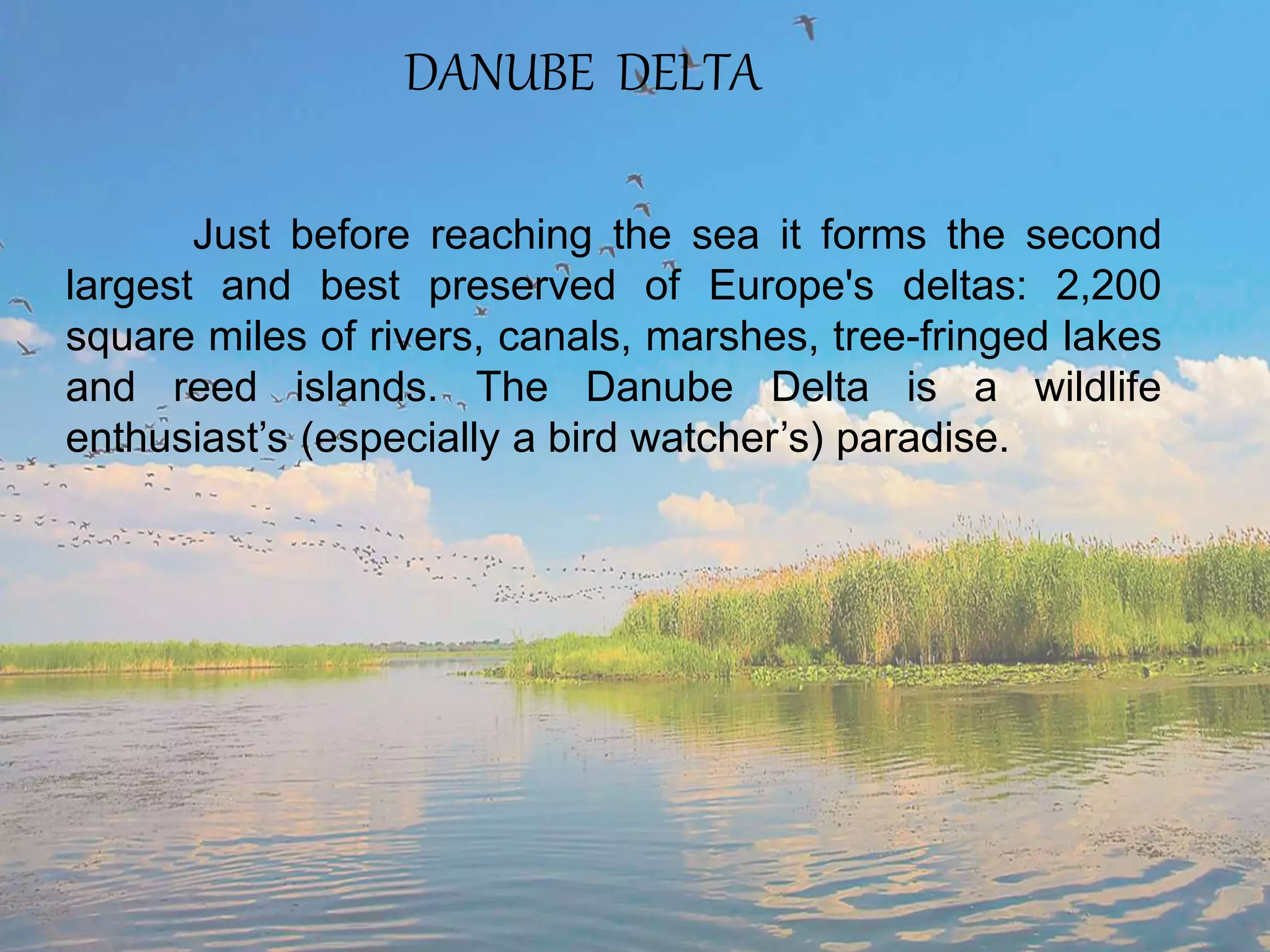 Prezentare engleza | PPTX