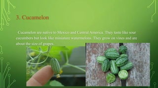 Exotic fruits | PPTX