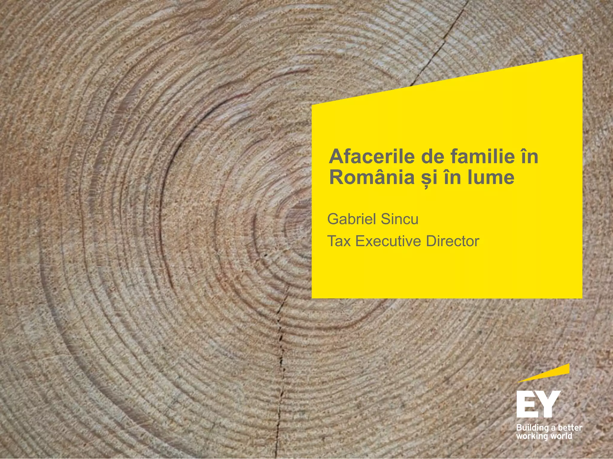 Prezentare gabi sincu adn antreprenor | PDF