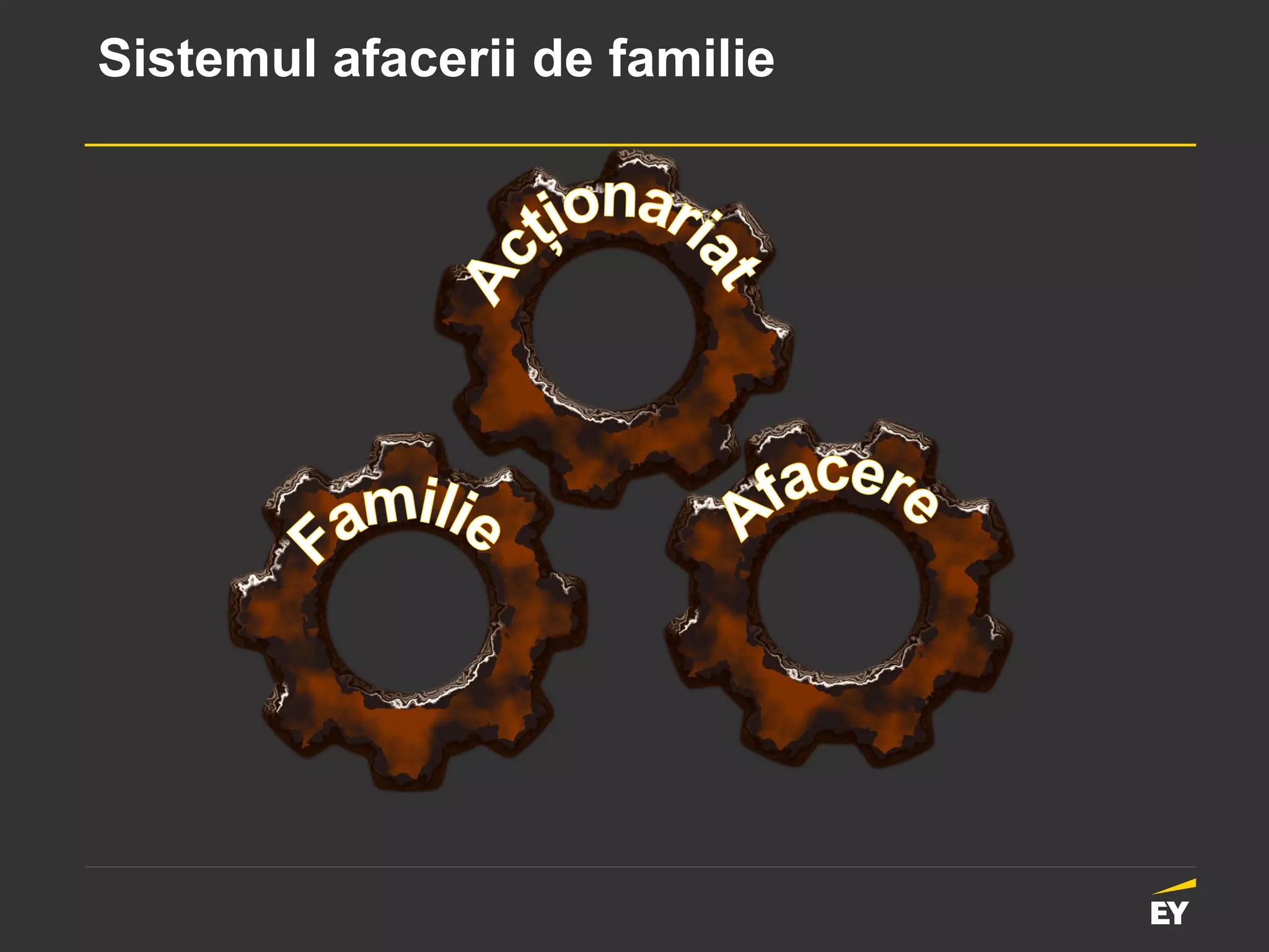 Prezentare gabi sincu adn antreprenor | PDF