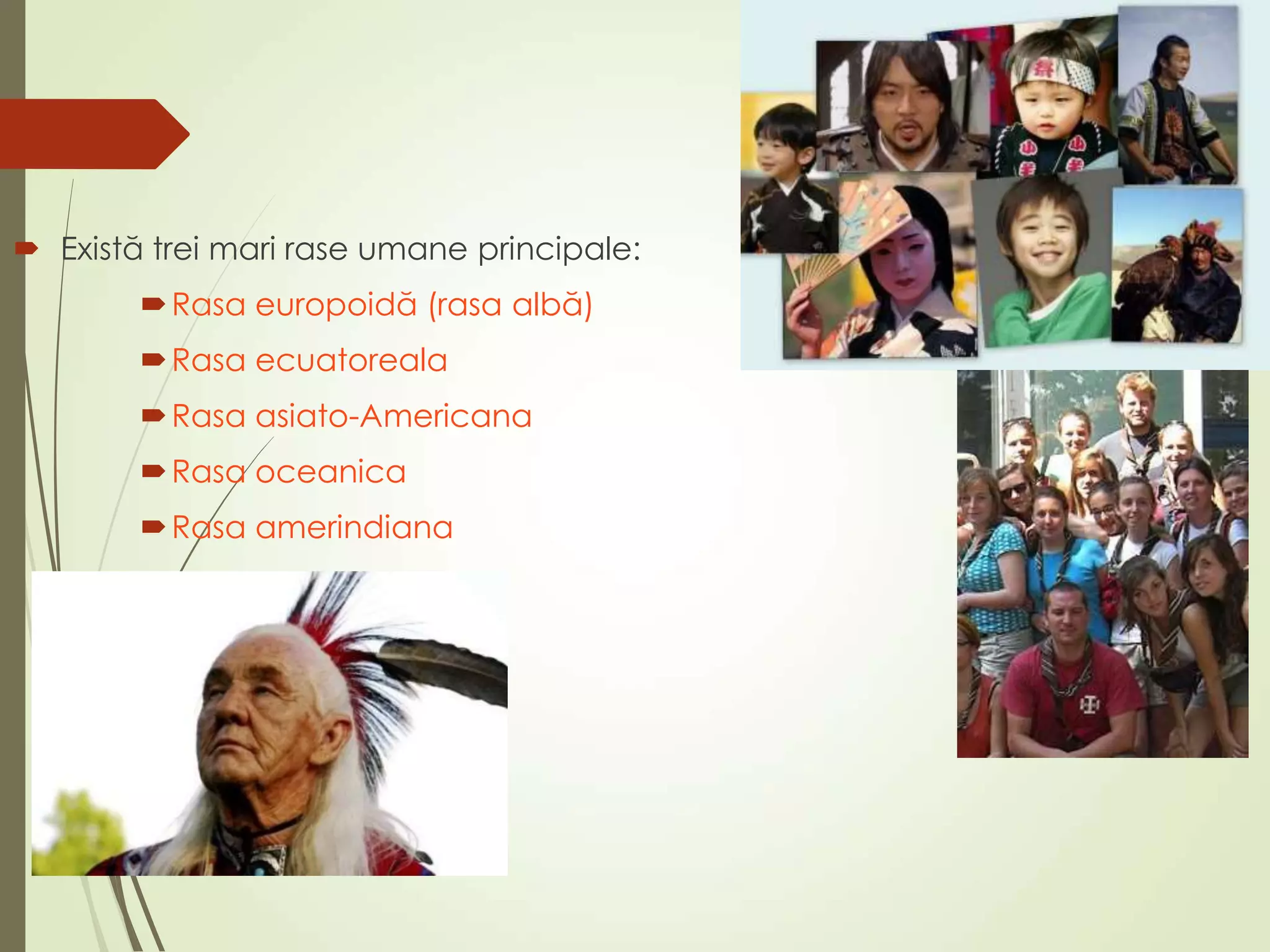 Strucutura Populatiei | PPT