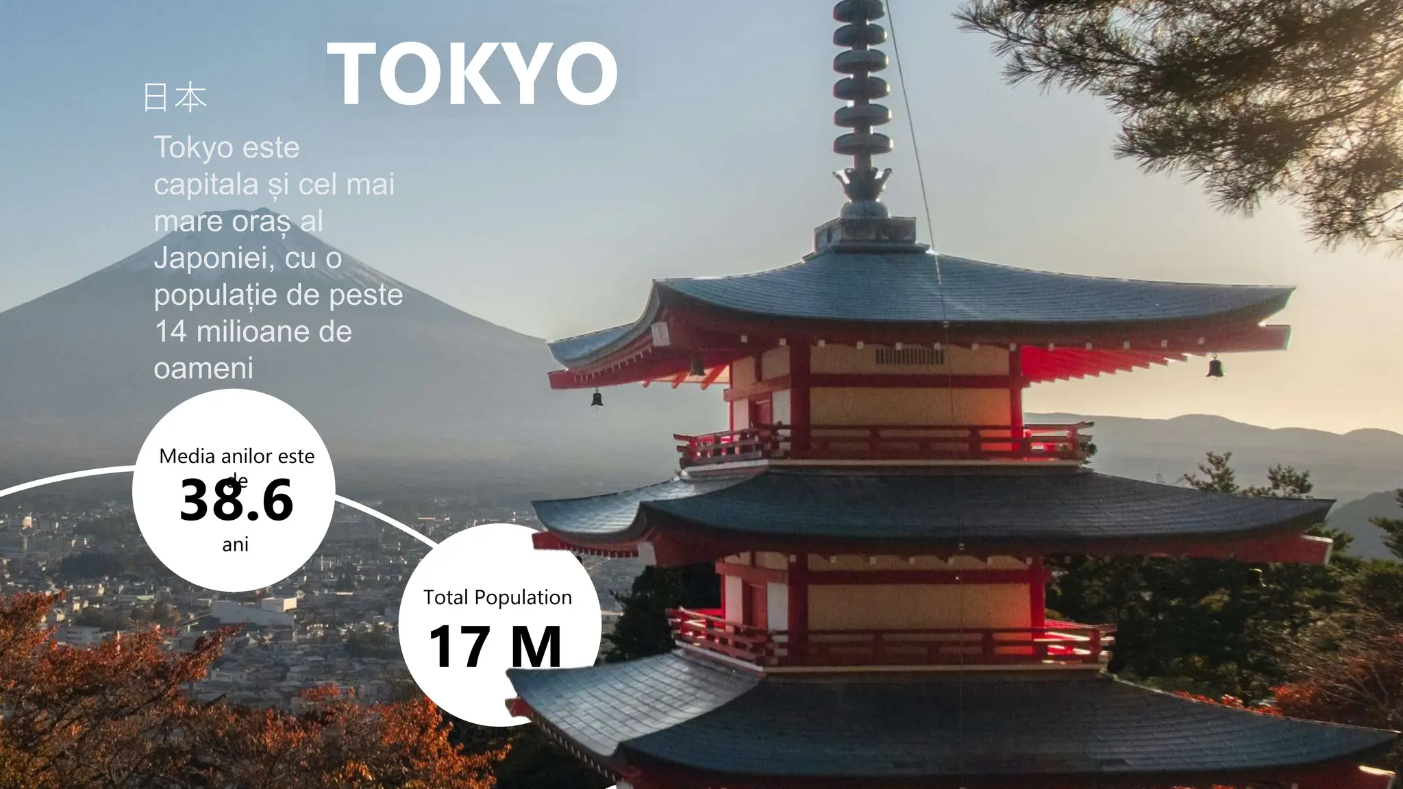 tokyo presentation powerpoint for proiects | PPTX