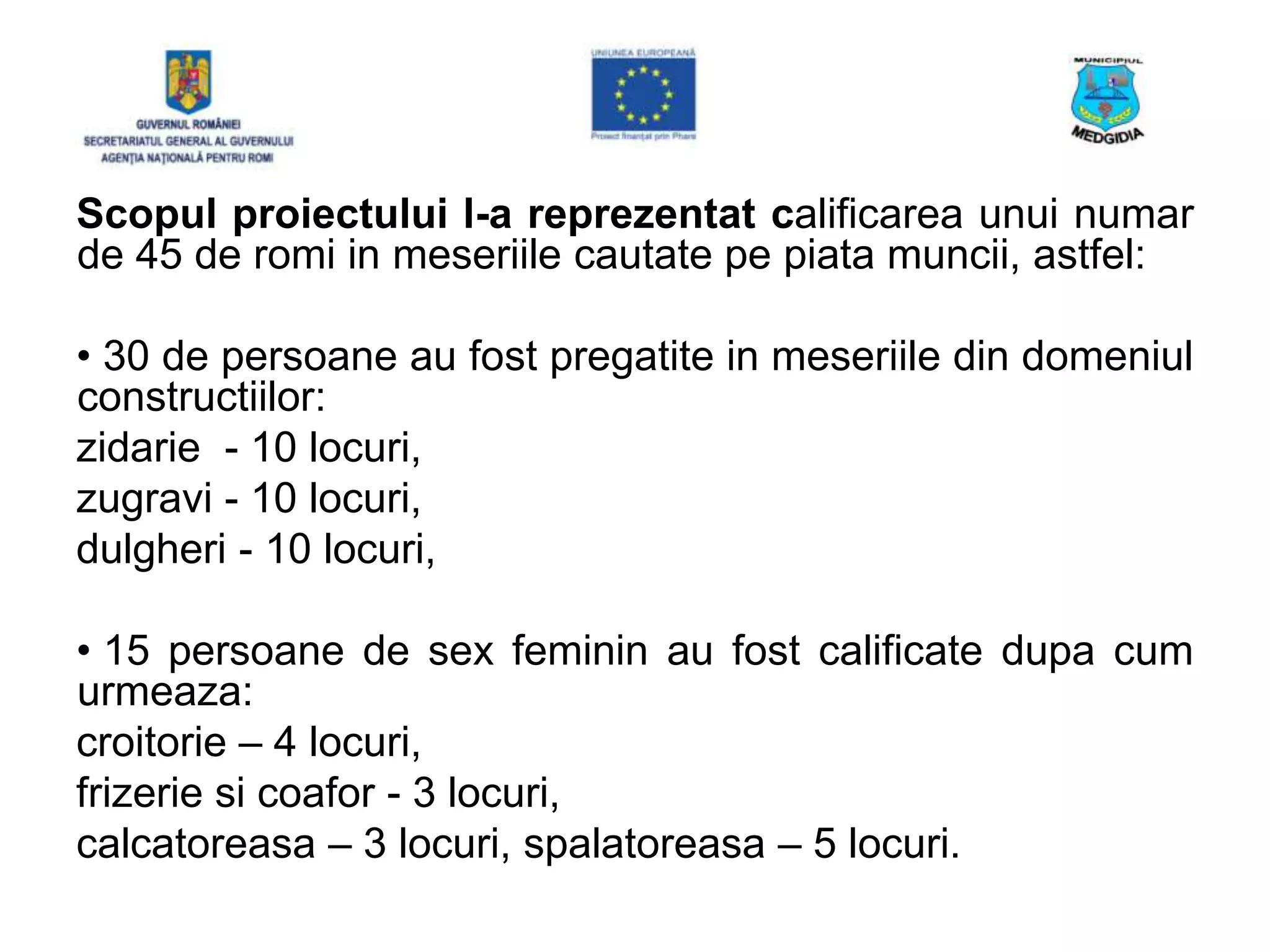 Proiecte pentru rromii din Medgidia | PDF